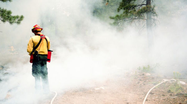 PBS' Independent Lens Fall Season to Open with YOUNG MEN AND FIRE - VIMooZ