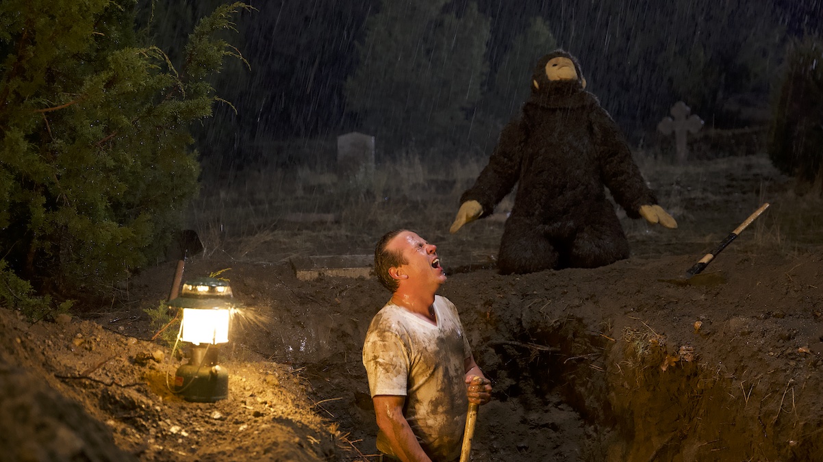 Nina Conti's Quirky Road Movie 'Sunlight' Debuts Trailer and US Release ...